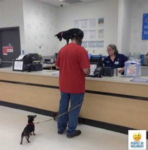 Walmart Shoppers Are... Well, Unique | KLYKER.COM