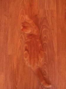 A Real-Life Matrix | KLYKER.COM