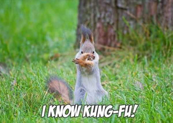 55 Funny Pics, Just in Case You Haven’t Laughed Yet Today | KLYKER.COM