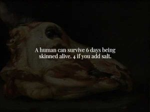 34 Unsettling Facts | KLYKER.COM