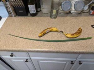 Wow, That's Really Big! | KLYKER.COM
