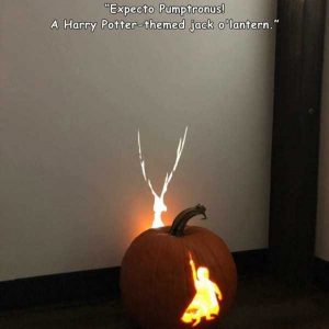45 Random Pictures With Captions | KLYKER.COM