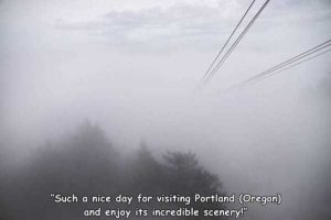 37 Random Pictures With Captions | KLYKER.COM