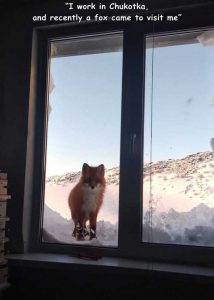 49 Random Pictures With Captions | KLYKER.COM
