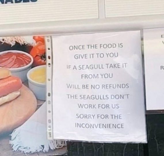 26 Hilariously Bad Translations | KLYKER.COM