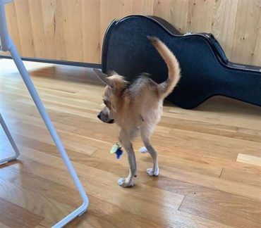 42 Hilarious Panoramic Photo Fails | KLYKER.COM