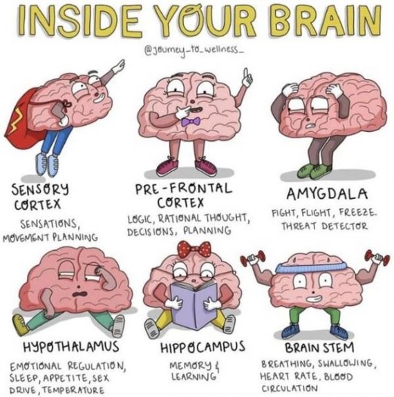 29 Random Charts And Maps | KLYKER.COM