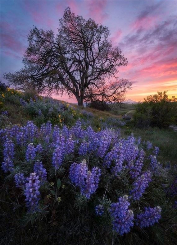 43 Breathtaking Landscapes | KLYKER.COM