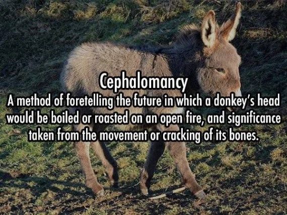 25 Weird Words In The English Language | KLYKER.COM