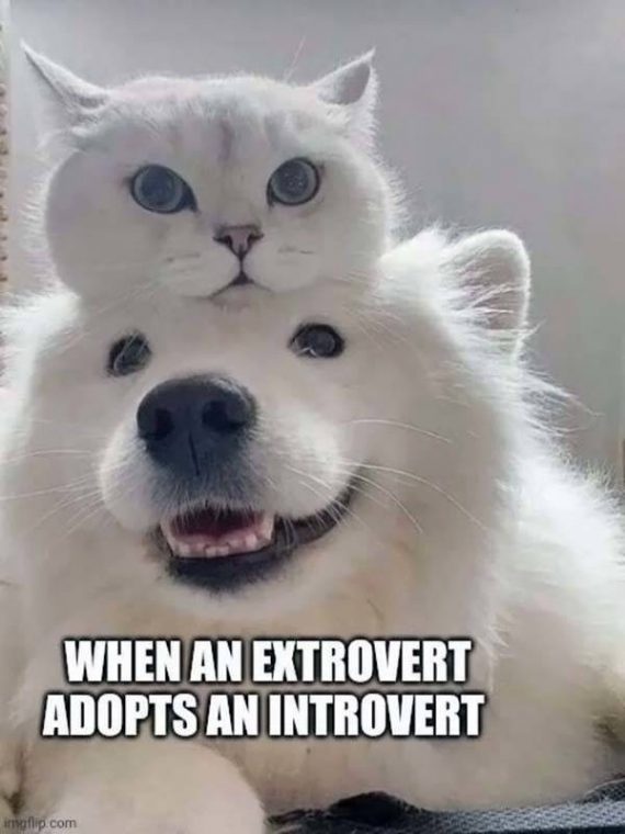 44 Funny Pics And Memes | KLYKER.COM