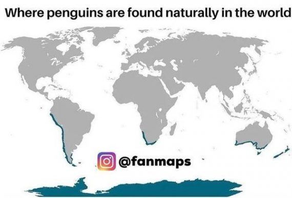 Random Charts And Maps #16 | KLYKER.COM