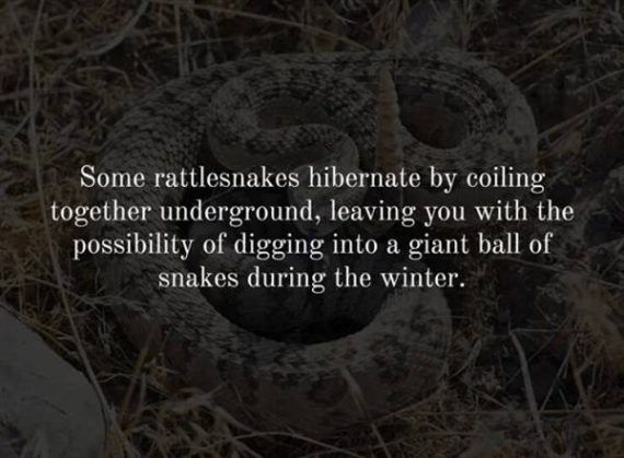Creepy Facts Are Back #1 | KLYKER.COM