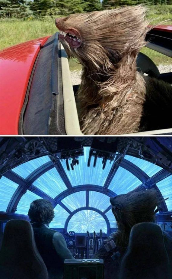 Ridiculously Funny Photo Edits | KLYKER.COM