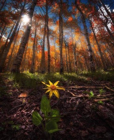 34 Amazing HD Pics That Will Please Your Eyes | KLYKER.COM
