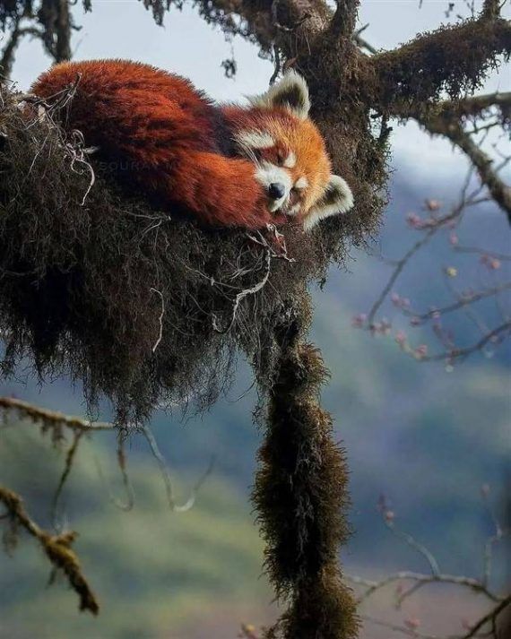 34 Amazing HD Pics That Will Please Your Eyes | KLYKER.COM