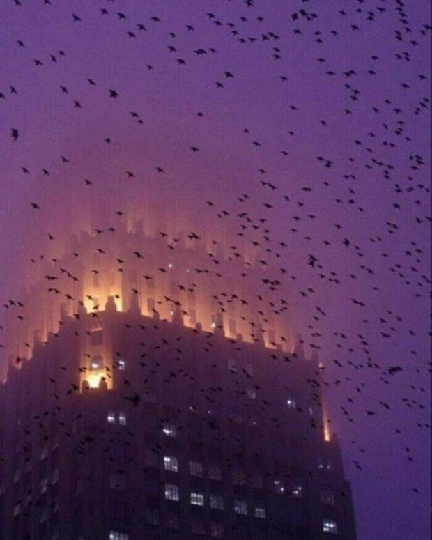 Sinister Buildings That Might Scare You | KLYKER.COM