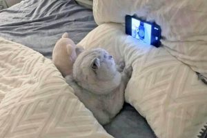 Klyker Picdump | KLYKER.COM