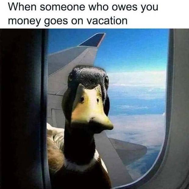 Funny Pics and Memes to Make You Laugh #71 | KLYKER.COM