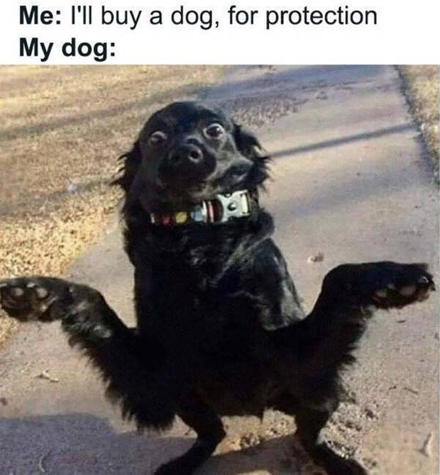 Funny Pics and Memes to Make You Laugh #71 | KLYKER.COM