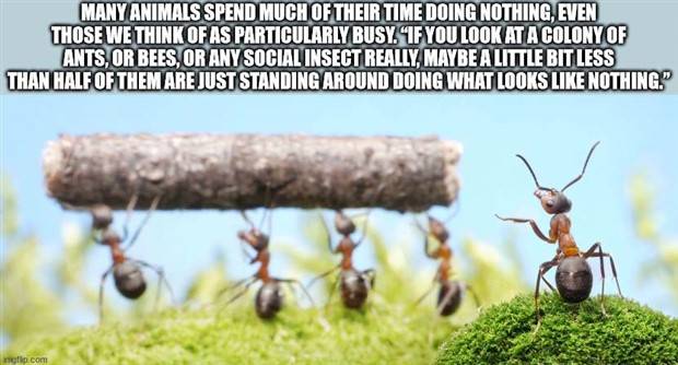 It’s Time for Some Cool and Interesting Facts #356 | KLYKER.COM