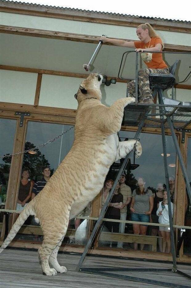 Welcome to the Weird Side of the Internet #188 | KLYKER.COM