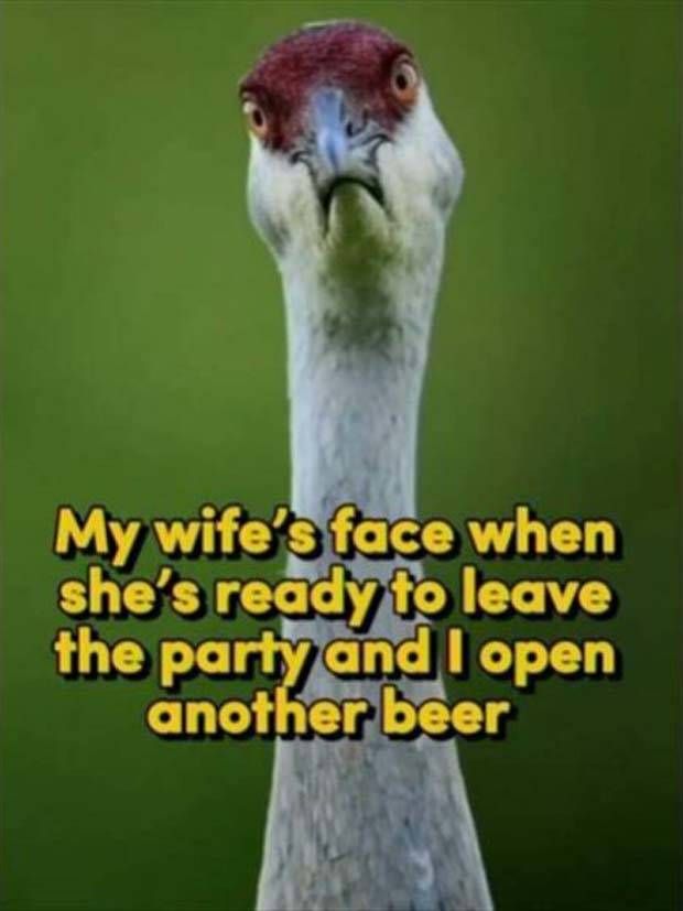 Funny Pics and Memes to Make You Laugh #87 | KLYKER.COM