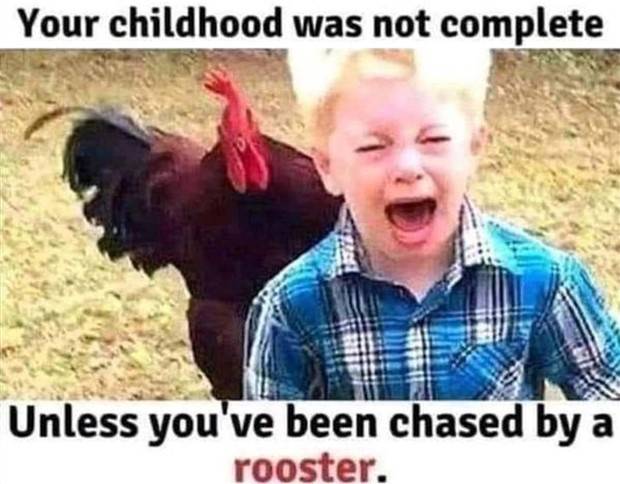 Funny Pics and Memes to Make You Laugh #85 | KLYKER.COM