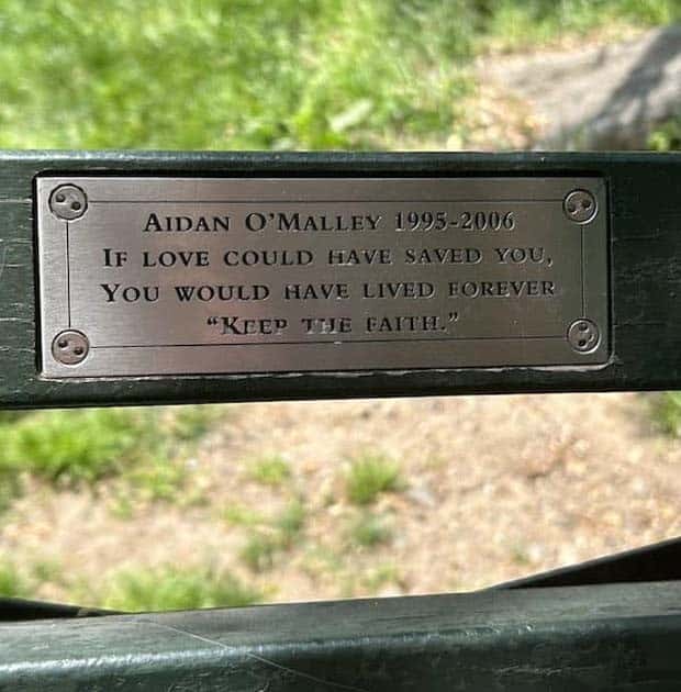 43 Bench Plaques that Bring Smiles and Memories | KLYKER.COM