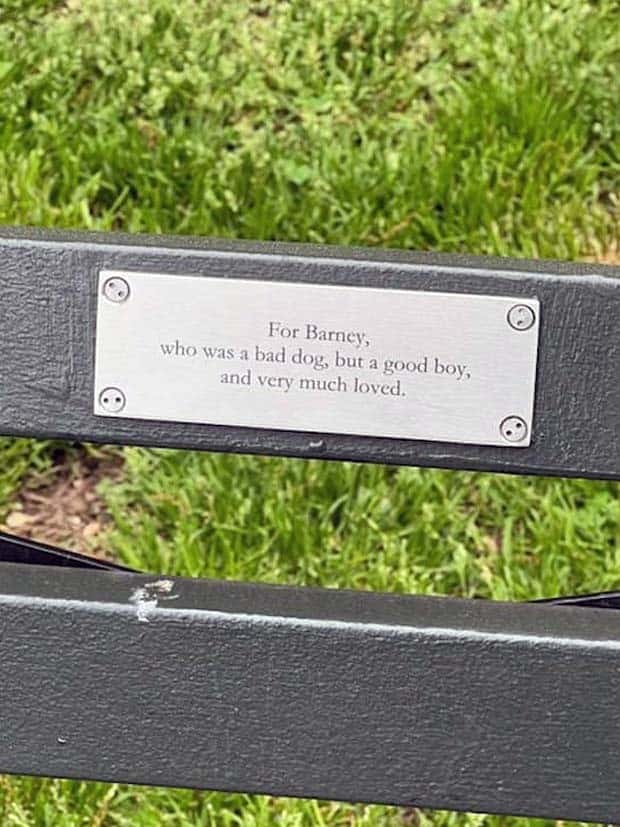 43 Bench Plaques that Bring Smiles and Memories | KLYKER.COM