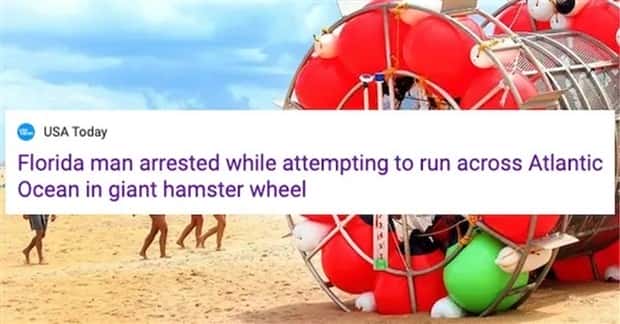 30 Insane Florida Man Headlines You Won't Believe | KLYKER.COM