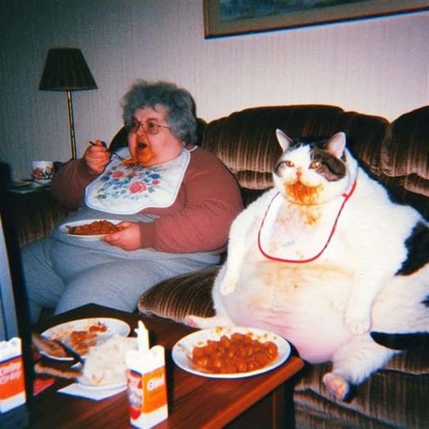 Impressive and Absurd AI Image Creations | KLYKER.COM