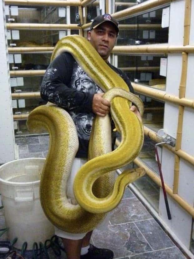 22 Hair-Raising Images of People Covered in Snakes | KLYKER.COM