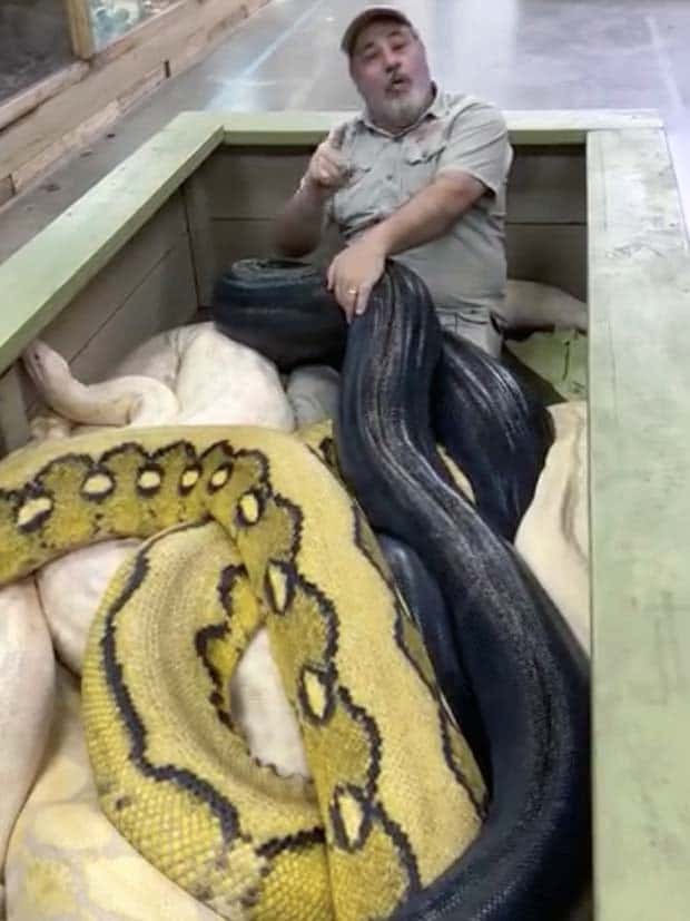 22 Hair-Raising Images of People Covered in Snakes | KLYKER.COM
