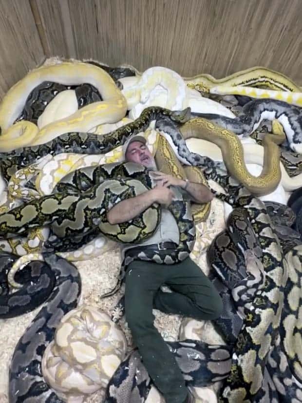 22 Hair-Raising Images of People Covered in Snakes | KLYKER.COM