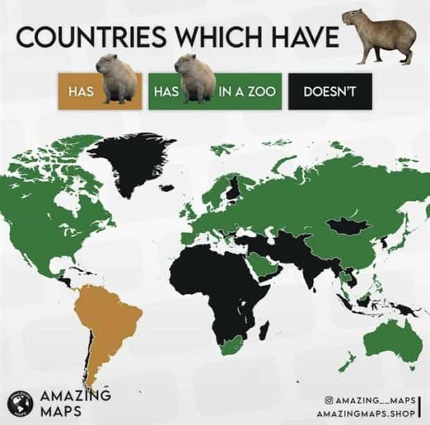 Random Charts and Maps Filled with Interesting Data #118 | KLYKER.COM
