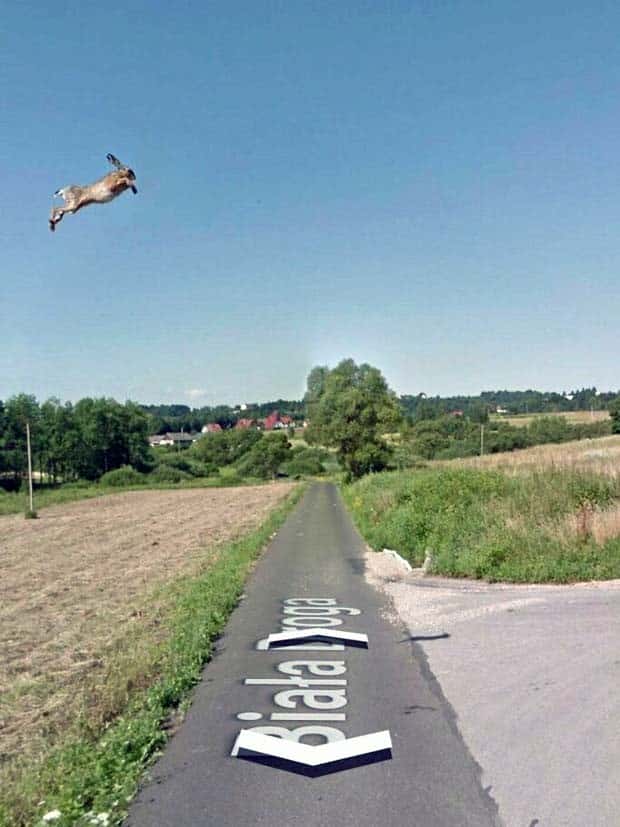26 Times Google’s Cameras Captured Crazy Sights | KLYKER.COM