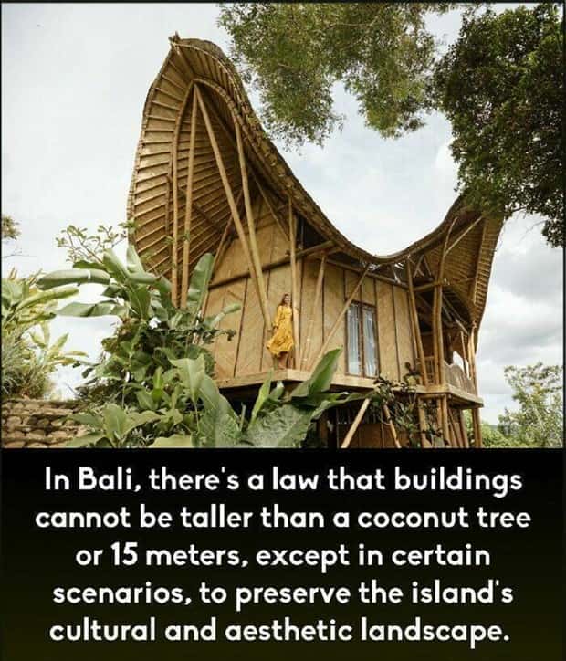 It’s Time for Some Cool and Interesting Facts #394 | KLYKER.COM