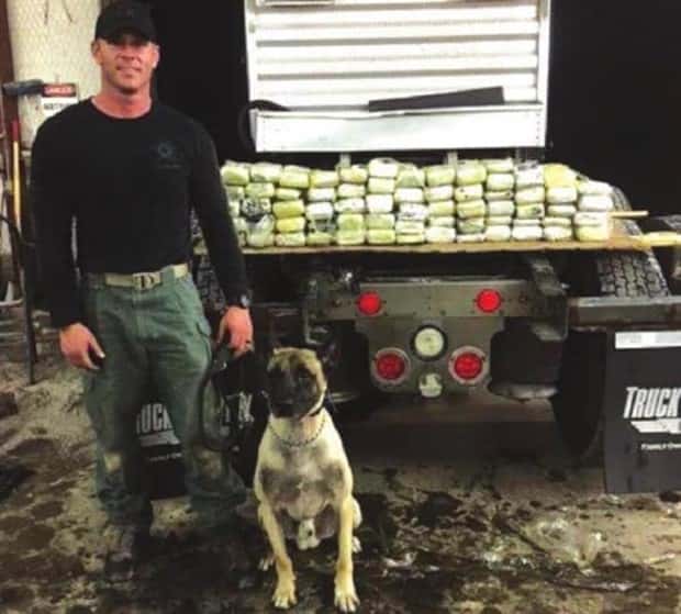 25 Drug Dogs Posing With Their Finds | KLYKER.COM
