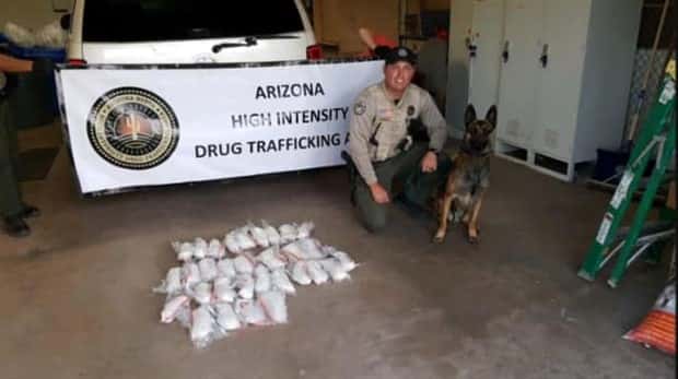 25 Drug Dogs Posing With Their Finds | KLYKER.COM
