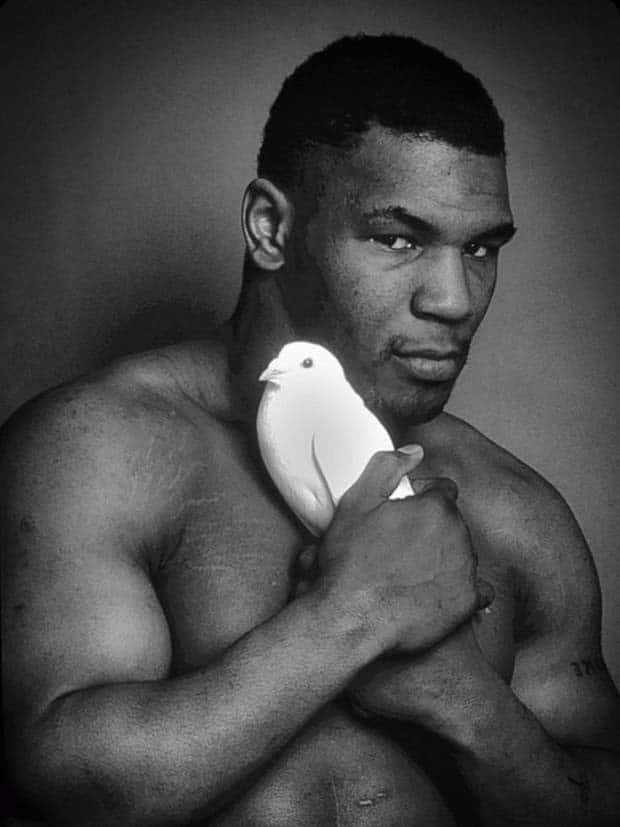 Mike Tyson’s Loving Bond with Pigeons | KLYKER.COM
