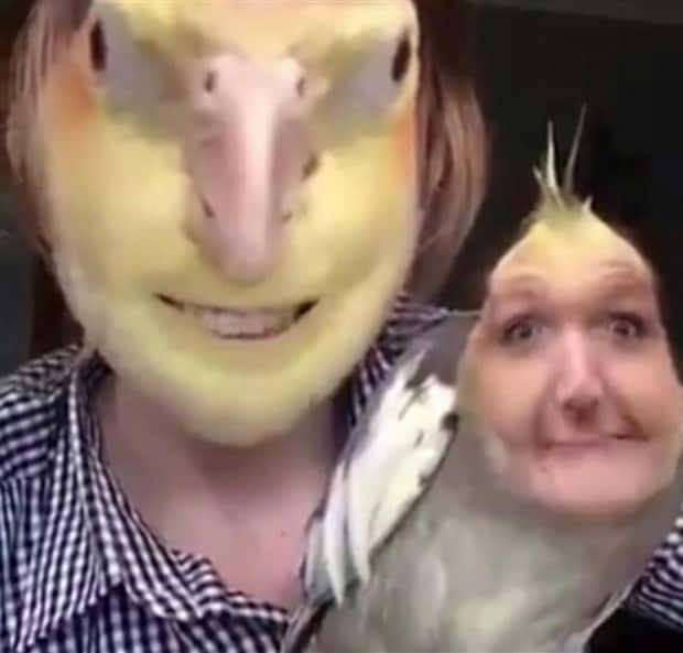 Unsettling Yet Hilarious Face Swaps | KLYKER.COM