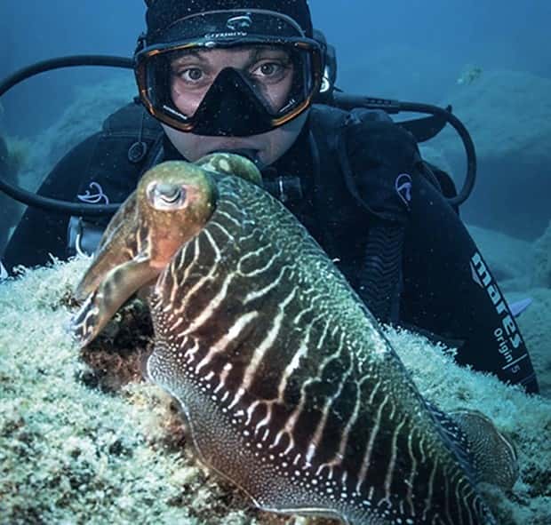 28 Photos of Divers Bonding with Marine Life | KLYKER.COM