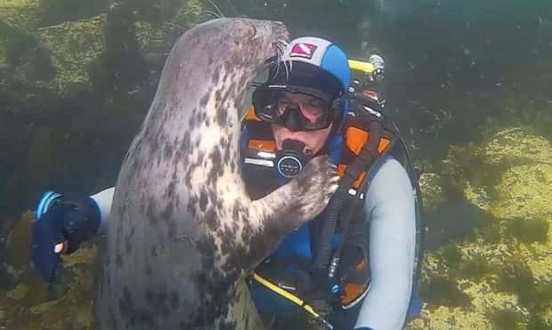 28 Photos of Divers Bonding with Marine Life | KLYKER.COM