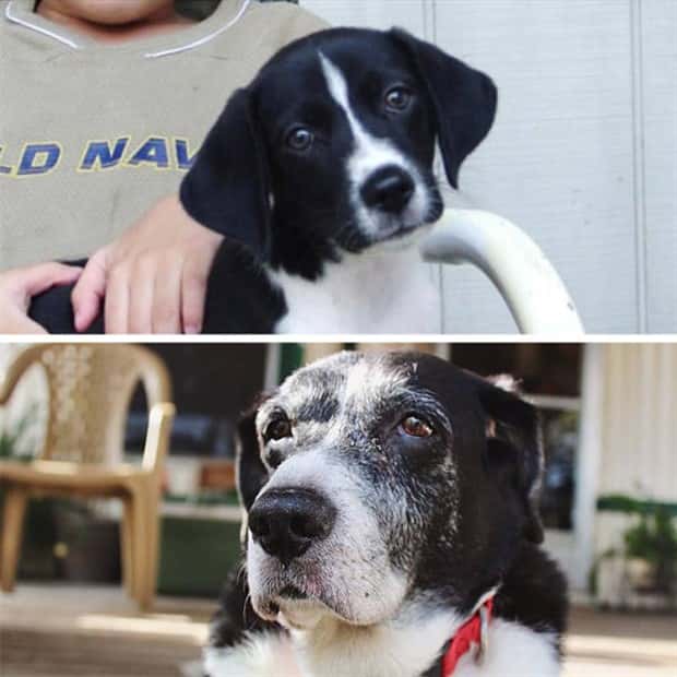 Fascinating Effects of Time on Objects | KLYKER.COM