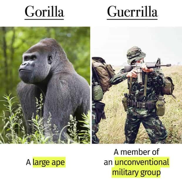 Things People Mix Up Constantly | KLYKER.COM