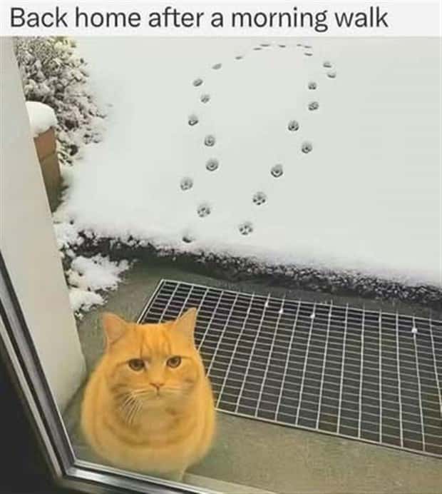 Funny Pics and Memes to Make You Laugh #189 | KLYKER.COM