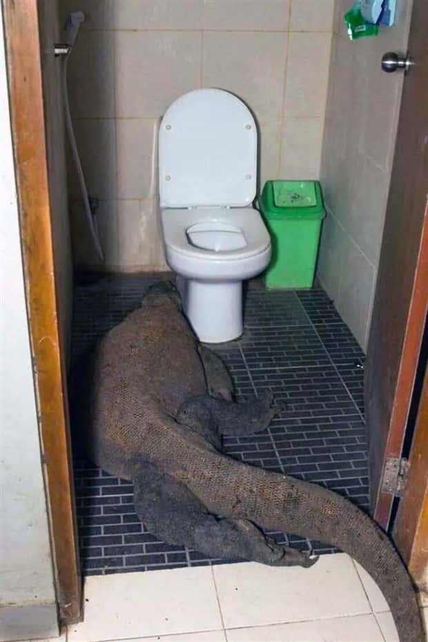 27 Cursed Visuals To Ruin Your Sleep | KLYKER.COM